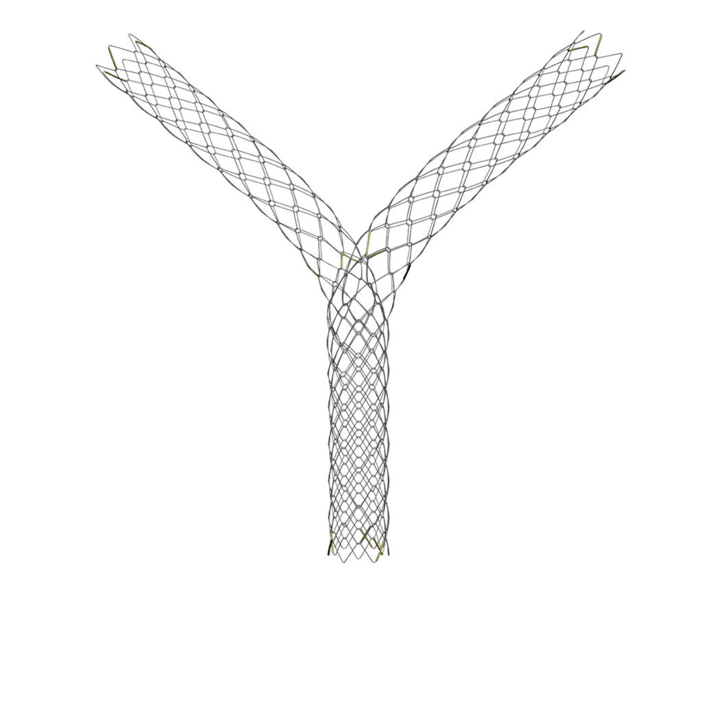 LCD Biliary Stent – Healthcare21