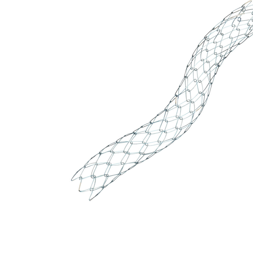 LCD Biliary Stent – Healthcare21