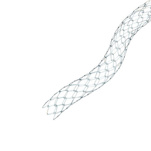 Endotherapy Devices & Accessories - Healthcare21