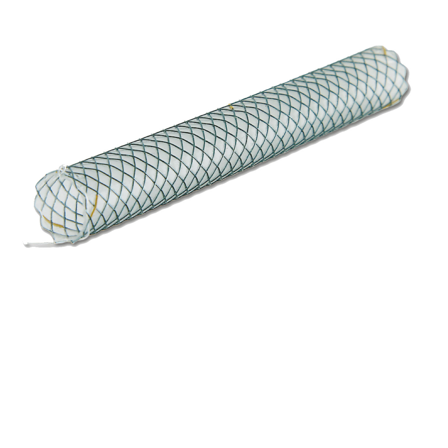 LCD Biliary Stent - HC21