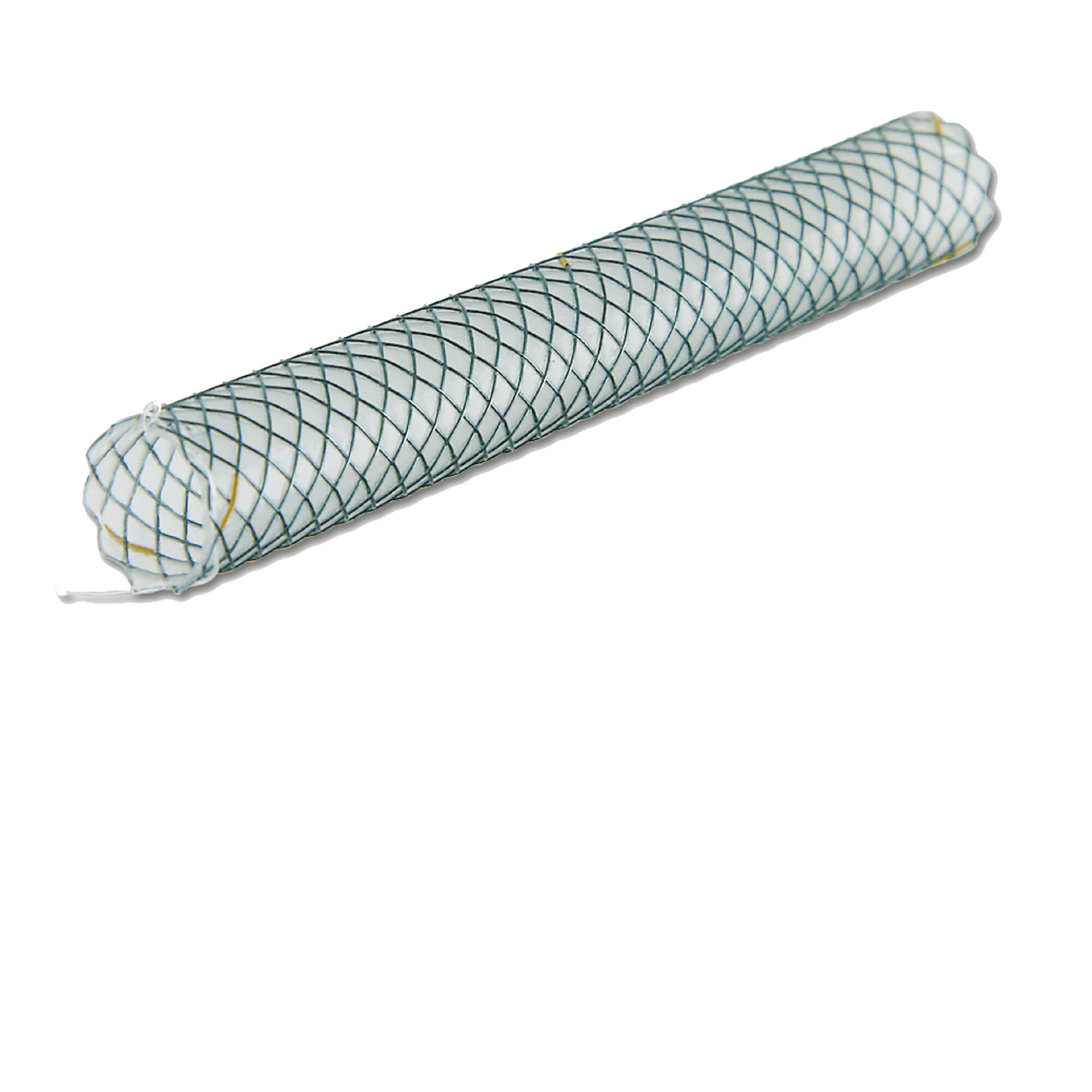 LCD Biliary Stent - HC21