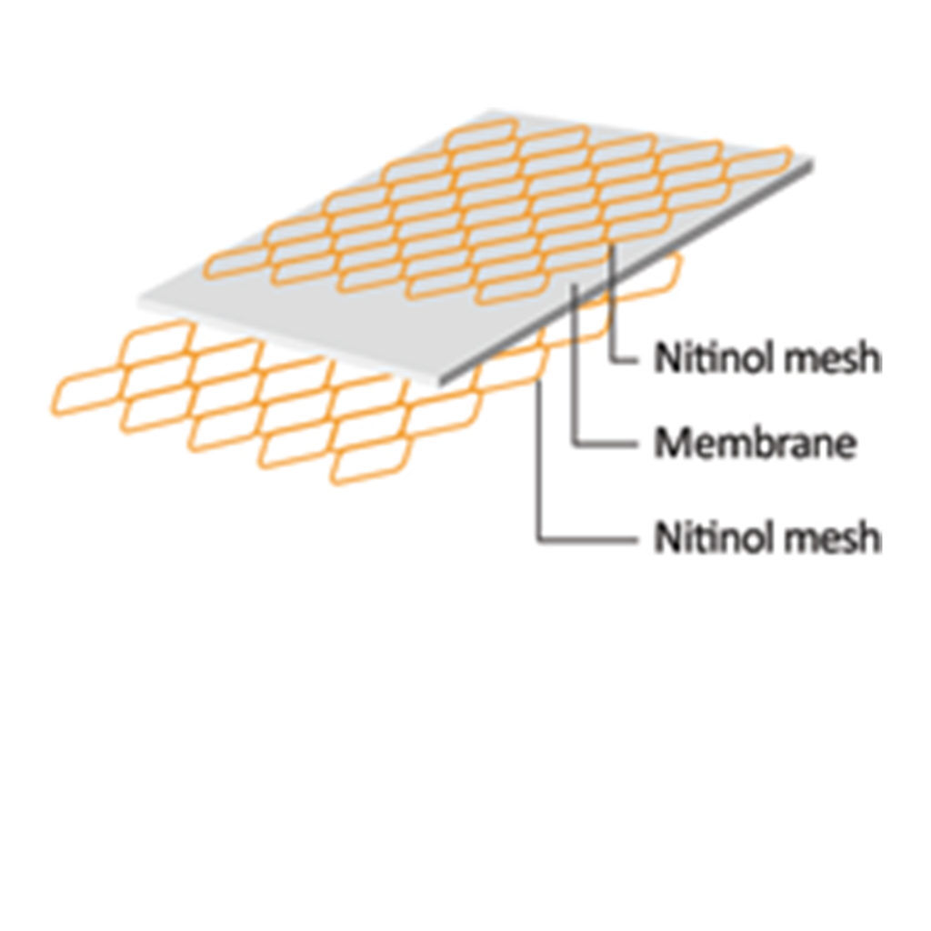 Comvi Stent – Healthcare21