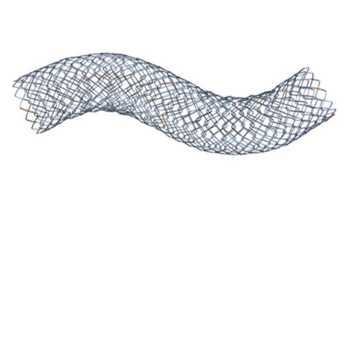 D Type Stent – Healthcare21