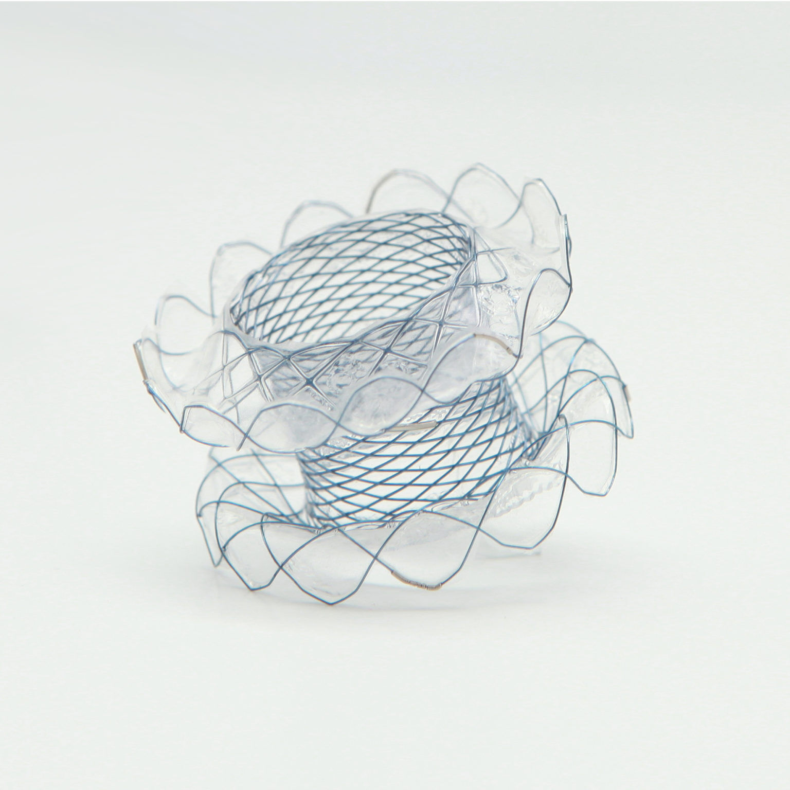 SPAXUS Stent – Healthcare21