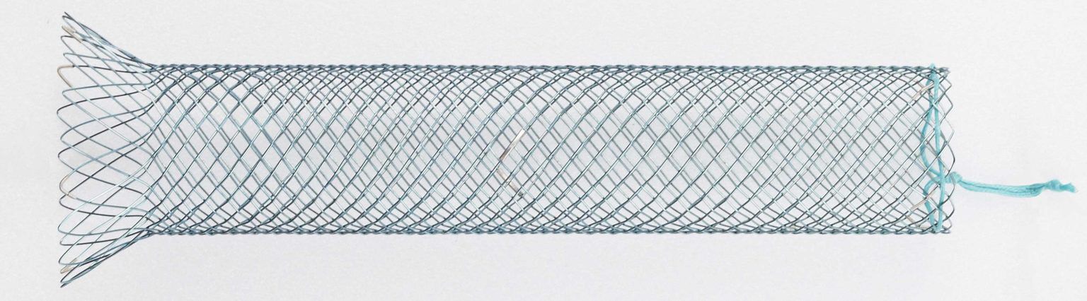 Uncovered Tracheobronchial Stent – Healthcare21